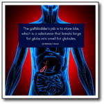 Can I Eat High-Fat without a Gallbladder? - Dr Becky Fitness