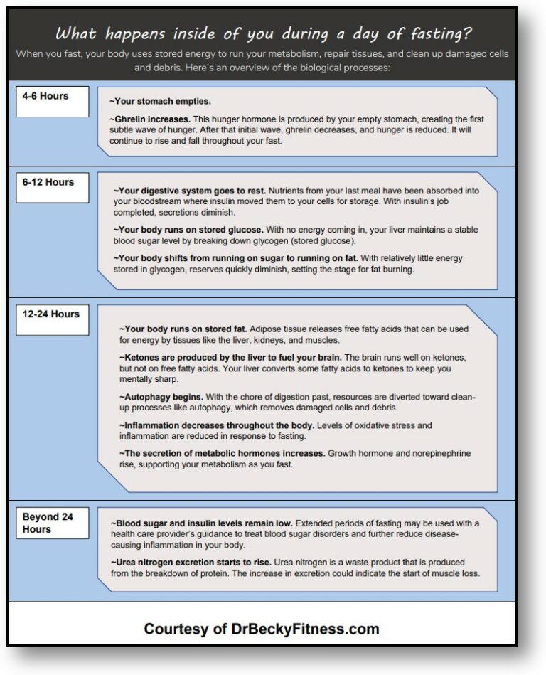 Fasting Timeline: Here’s What Happens Inside You During a Day of ...