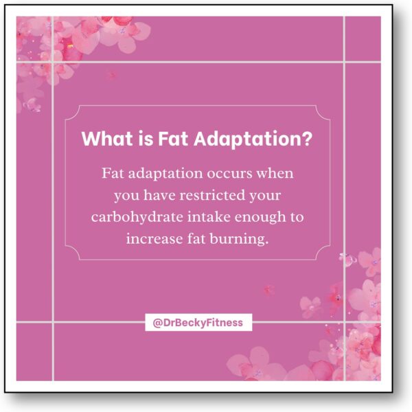 Put Fat Loss on Autopilot - Get Fat Adapted and Stay There - Dr Becky ...